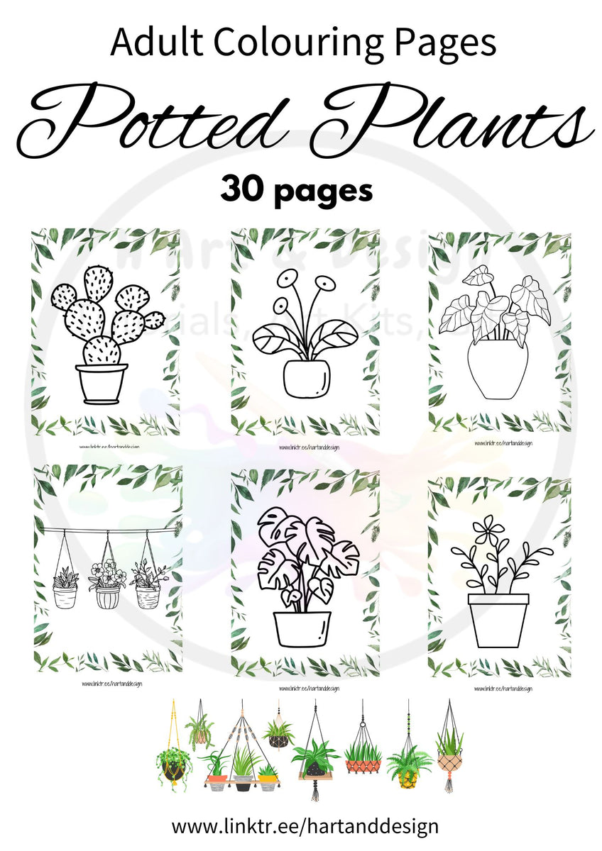 Potted Plants colouring in sheets - 30 pages printable colouring in, p ...